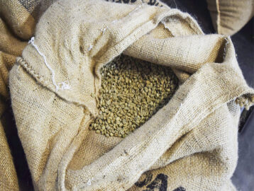 What Is Burlap? Unraveling The Making, Uses, And Crafting Ideas ⋆ Hello ...