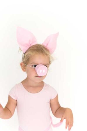 20+ DIY Piglet Costume Ideas - How To Make A Pig Costume FAST ⋆ Hello ...