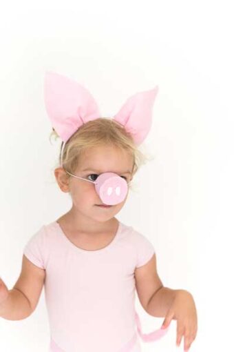 20+ DIY Piglet Costume Ideas - How To Make A Pig Costume FAST ⋆ Hello ...