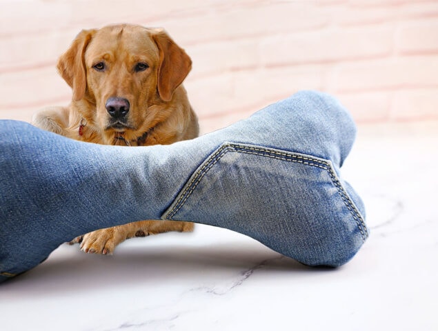 DIY Dog Bone Toy Out Of Jeans ⋆ Hello Sewing