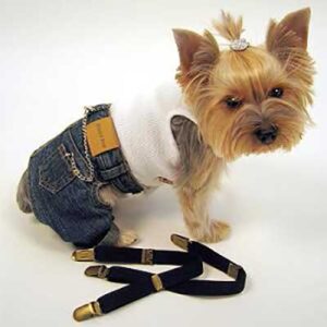 Free Printable Dog Clothes Patterns And Tutorials ⋆ Hello Sewing