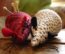 50+ Free Pincushion Patterns To Sew And Use ⋆ Hello Sewing
