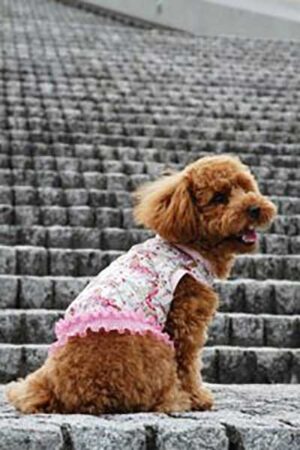 Free Printable Dog Clothes Patterns And Tutorials ⋆ Hello Sewing